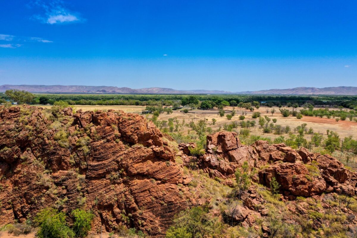 News Story - Introducing ‘The Walk’, a New Youth Diversionary Program ...